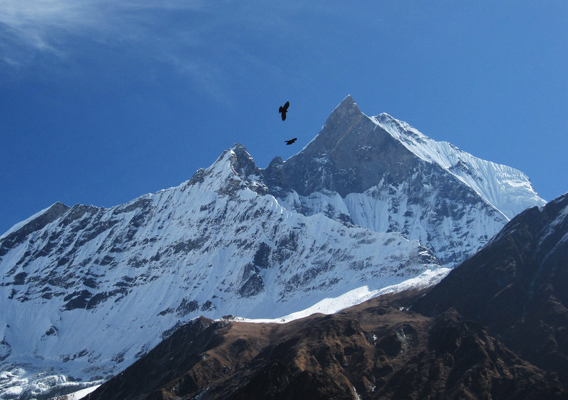 Machhapuchchhre | Basecamp Hikes